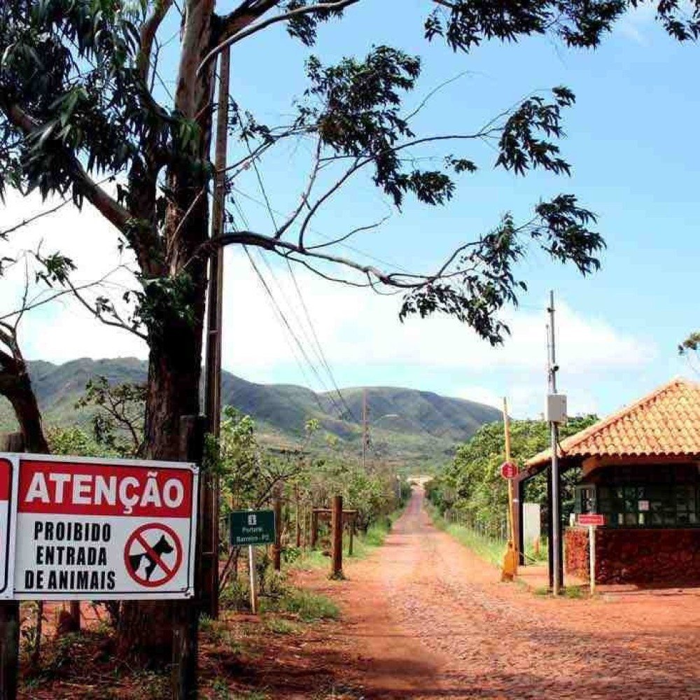 Descubra a entrada "secreta" do Parque Rola-Moça
