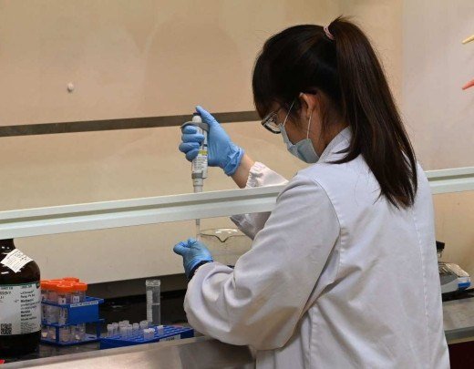 Saiba para onde vão as primeiras 750 mil doses de vacina contra dengue - Jornal Estado de Minas ...