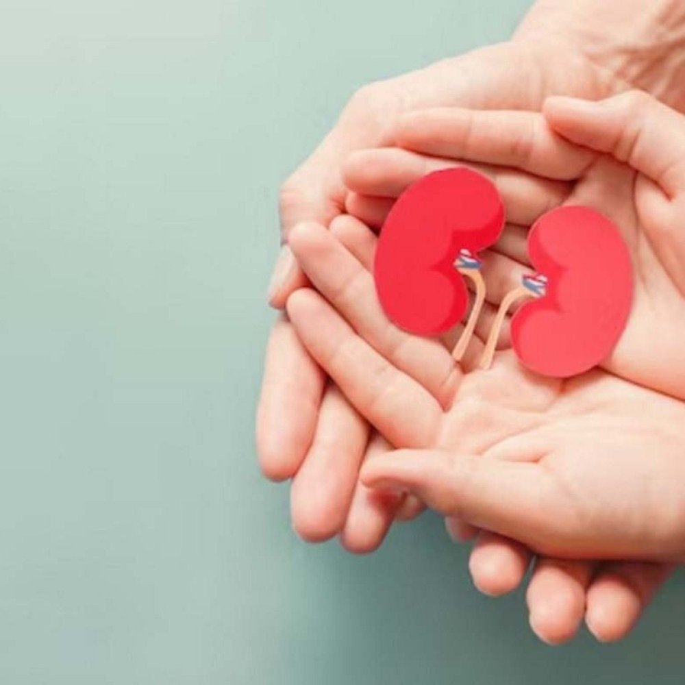 Nefrectomia total: como é realizada e quais os riscos