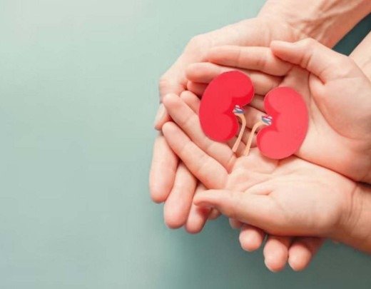 Nefrectomia total: como é realizada e quais os riscos