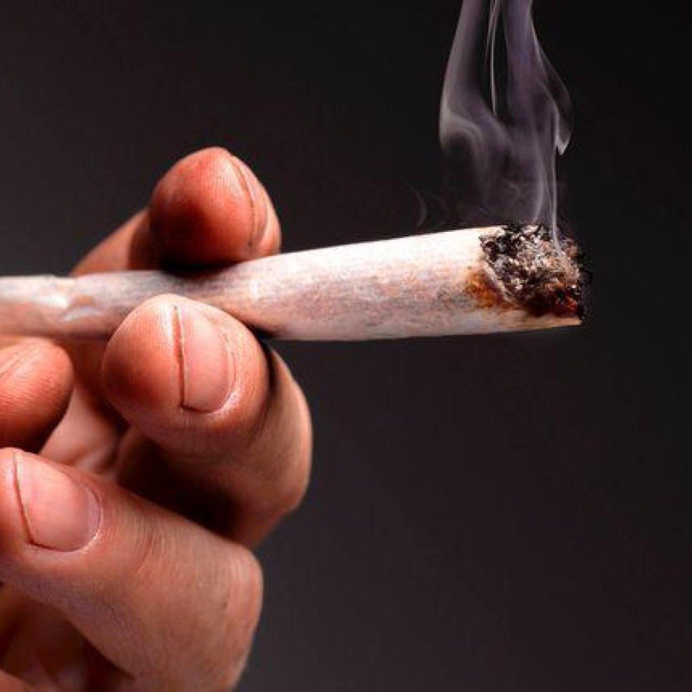 Maconha legalizada? Buscas no Google atingem pico