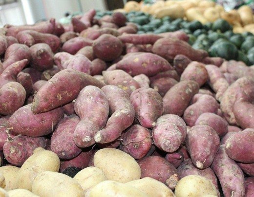 Batata-doce: saiba mais sobre o legume que pode até virar suco