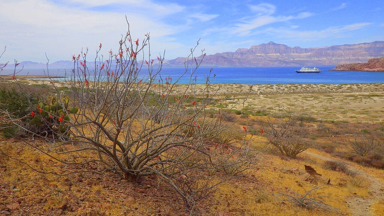 Golfos pelo mundo: entenda a importância dessa formação natural