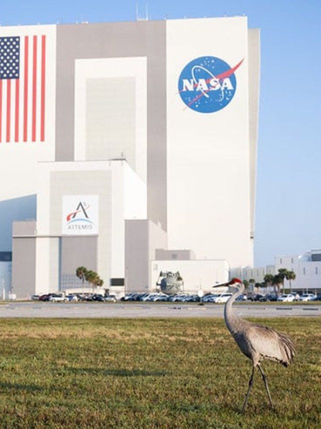 Curiosidades do universo: Canal da Nasa reúne conteúdo variado sobre o ...