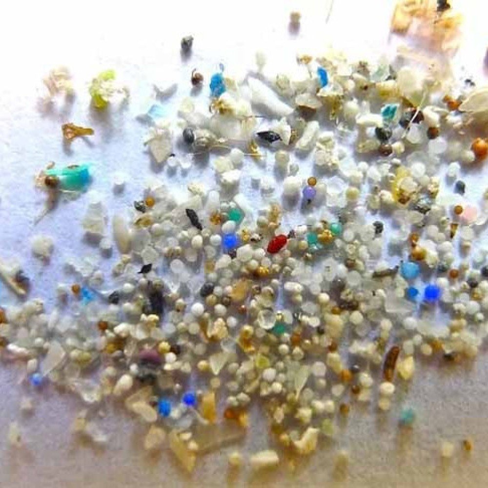 Cientistas brasileiros identificam fragmentos de microplástico no ...