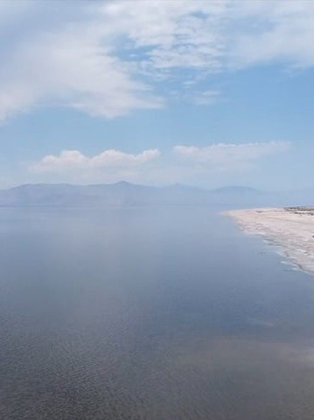 Crise ambiental pode tornar maior lago da Califórnia 'inabitável'