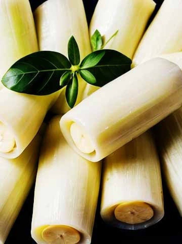 Versátil e substituto da carne: veja os tipos e benefícios do palmito