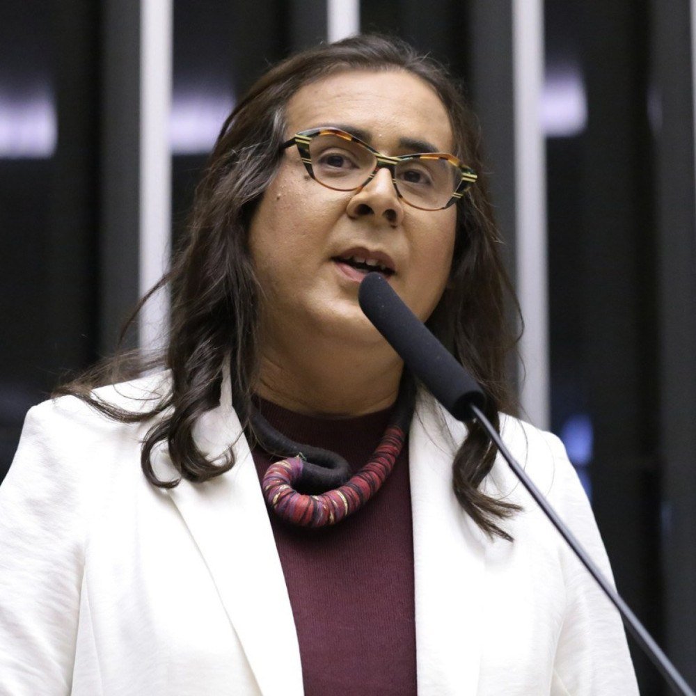 Duda Salabert pede sugestão de pena para Eduardo Bolsonaro