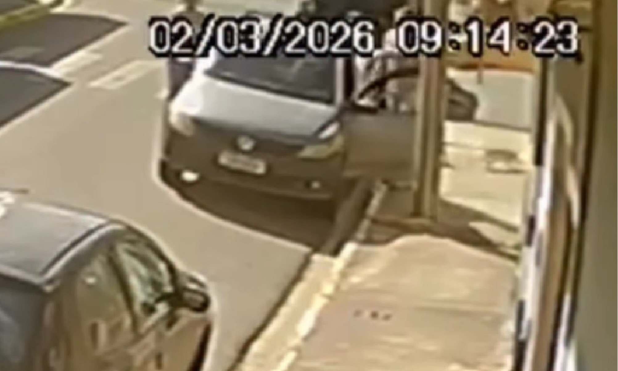 Homem abandona ninhada e em seguida mata filhote de cachorro