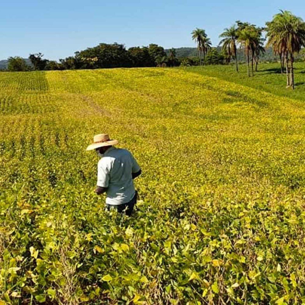 Governo estuda criar fundo garantidor para dívidas rurais