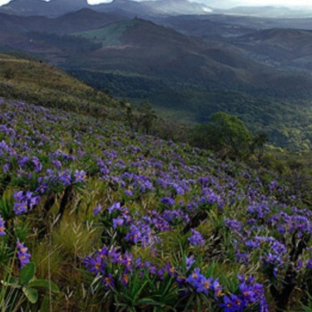 Por que a Serra do Rola-Moça tem esse nome? Conheça a história de amor