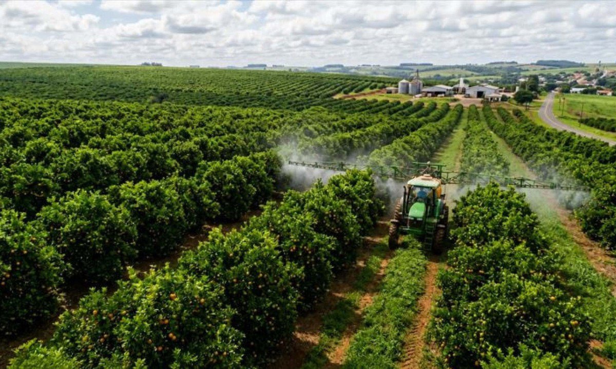 Gulf participa da Bahia Farm Show com produtos certificados